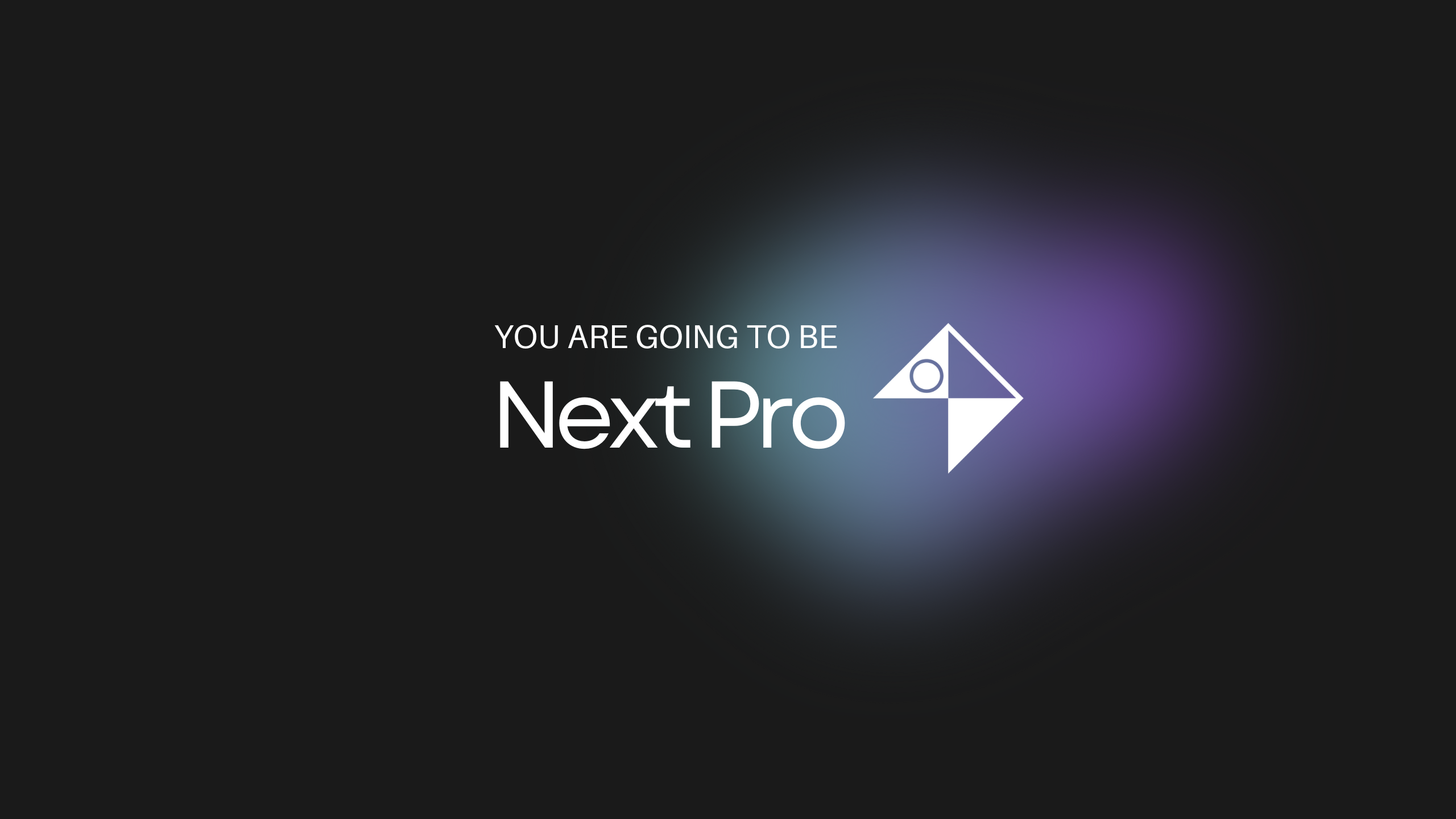 Next Pro - 1티어 개발자들과 함께하는 프로젝트